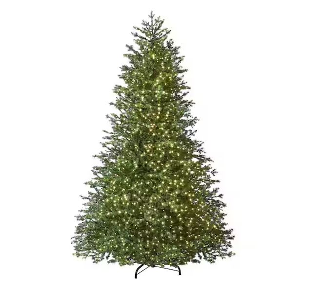 7 5 Ft Elegant Grand Fir Christmas Tree